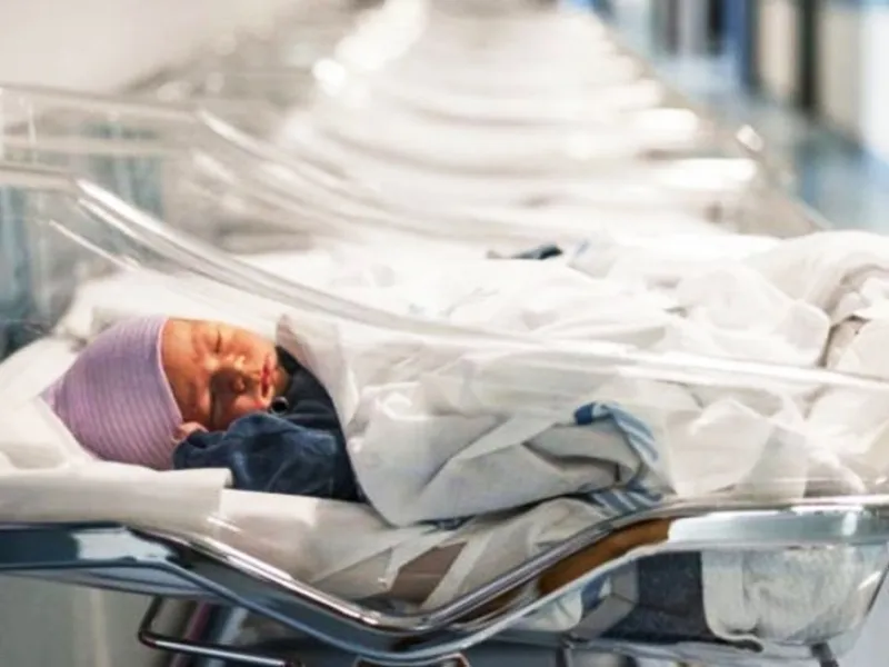 Caída Abrupta De Los Nacimientos En Argentina
